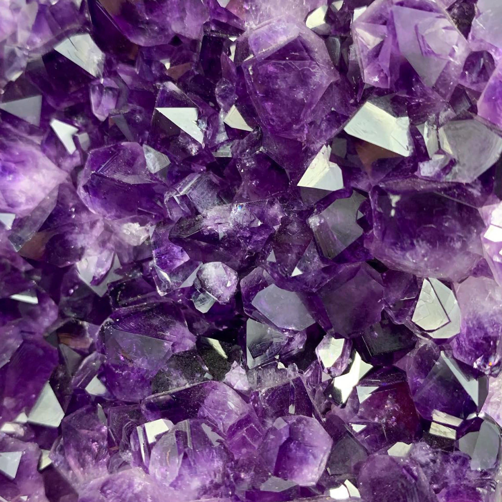 Beginner's Guide to Caring for Your New Crystals and Fossils ...