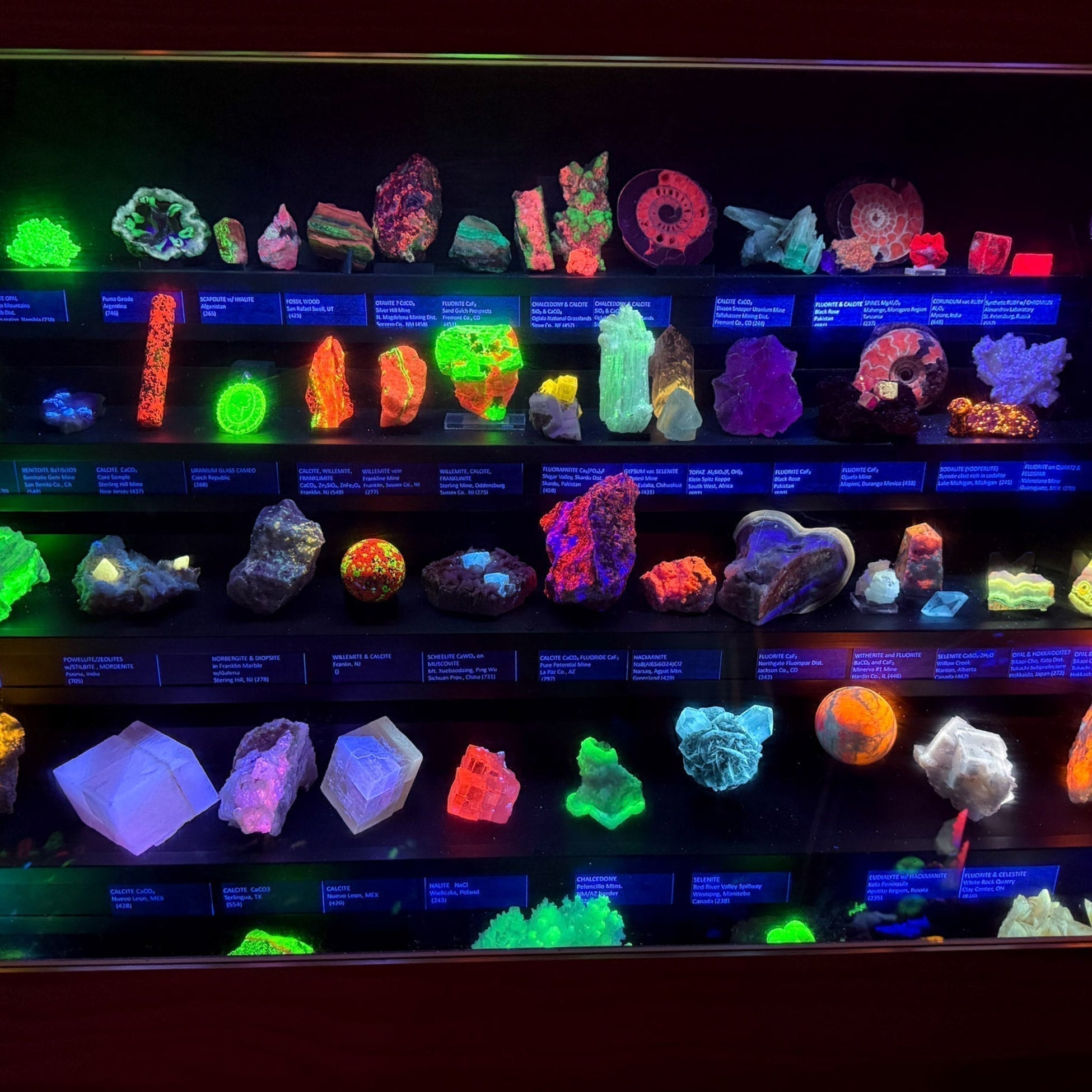 What Makes Minerals Fluoresce Under UV Light – Unearthed Store