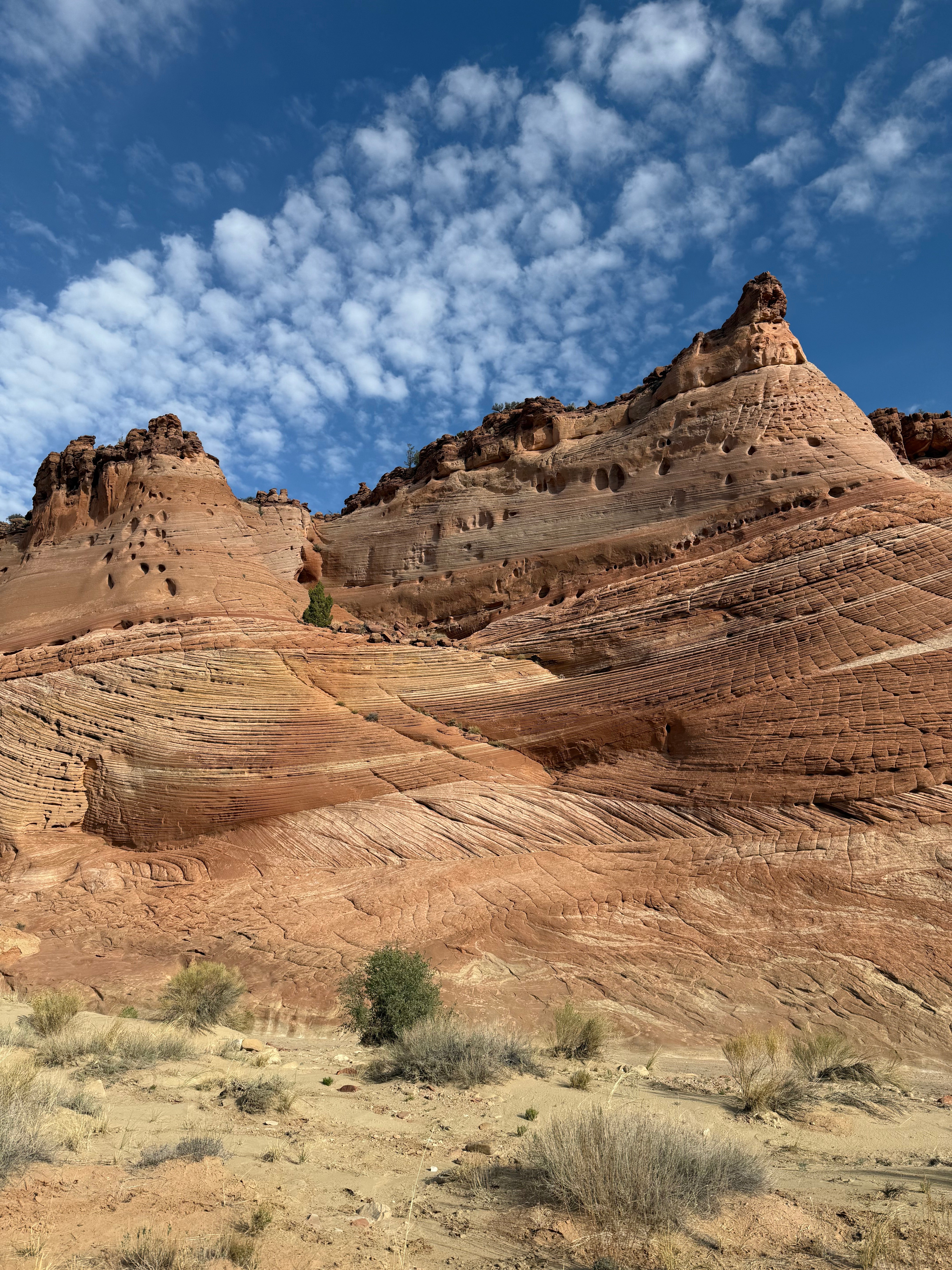 Sedimentary Rocks - What they are and how they form – Unearthed Store