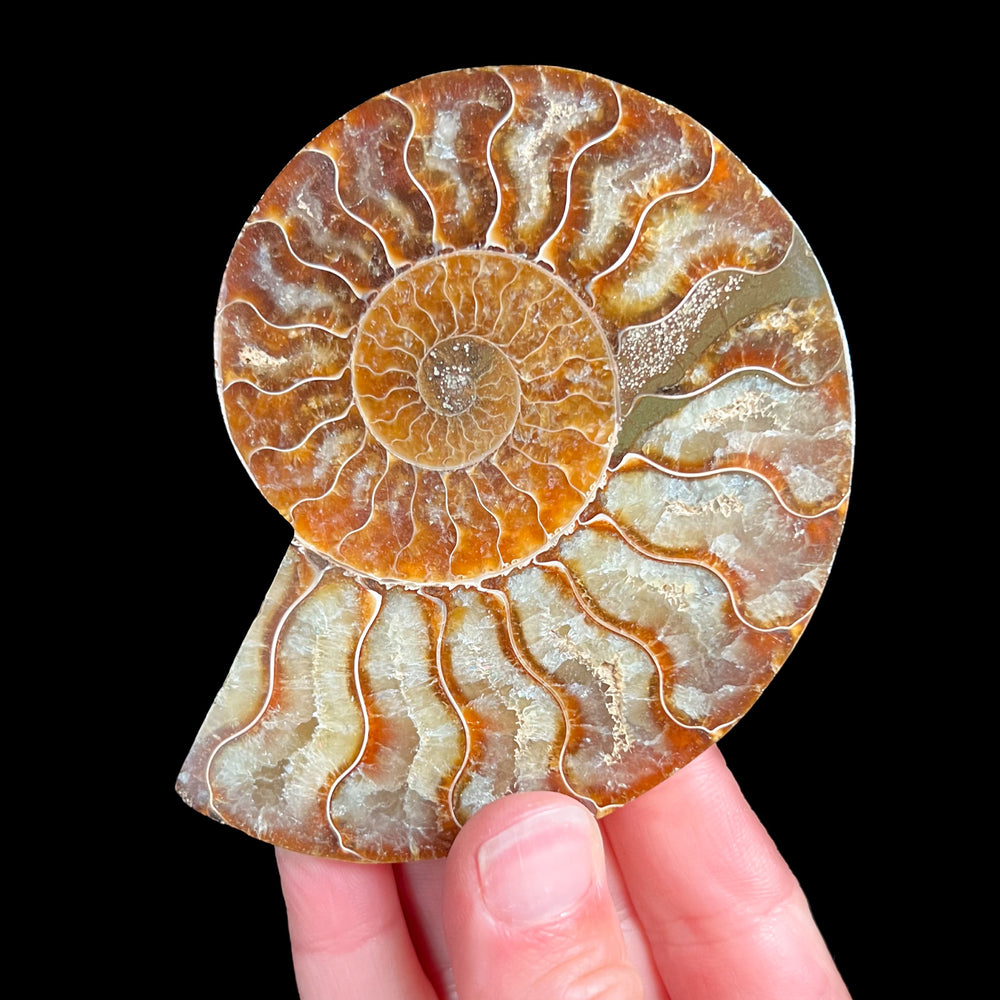 Unearthed Store - A Stone for Every Home (Crystals, Fossils, Jewelry)