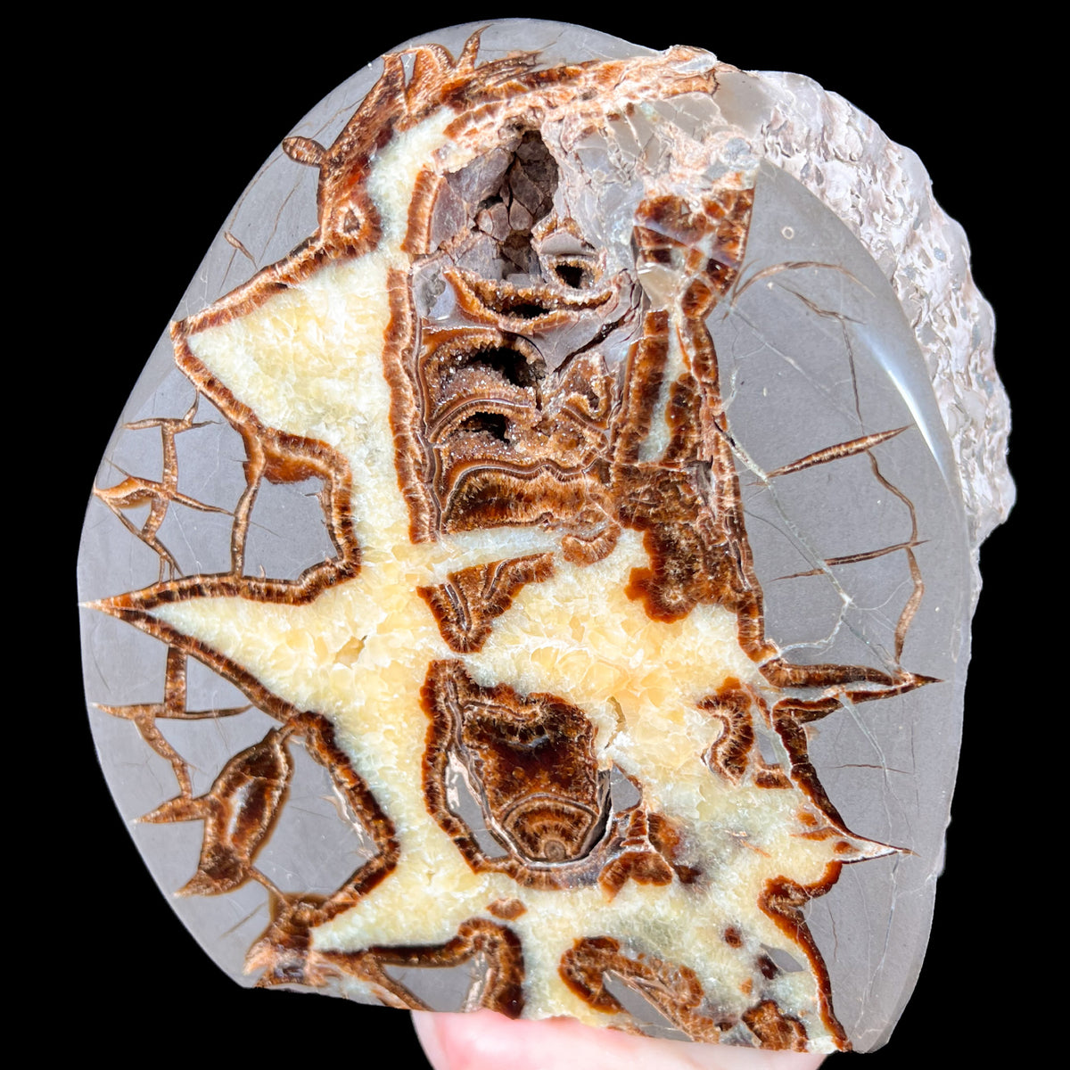 Unearthed Store - A Stone for Every Home (Crystals, Fossils, Jewelry)